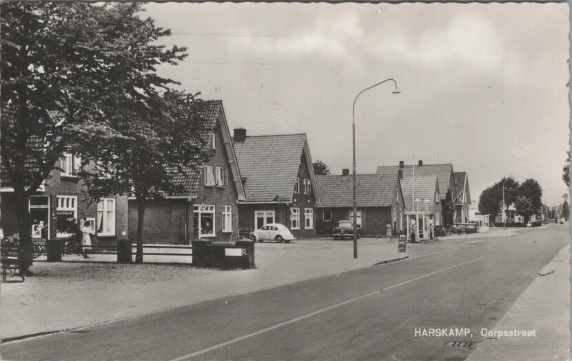 Mooie Oude Ansichtkaart van HARSKAMP - Dorpsstraat